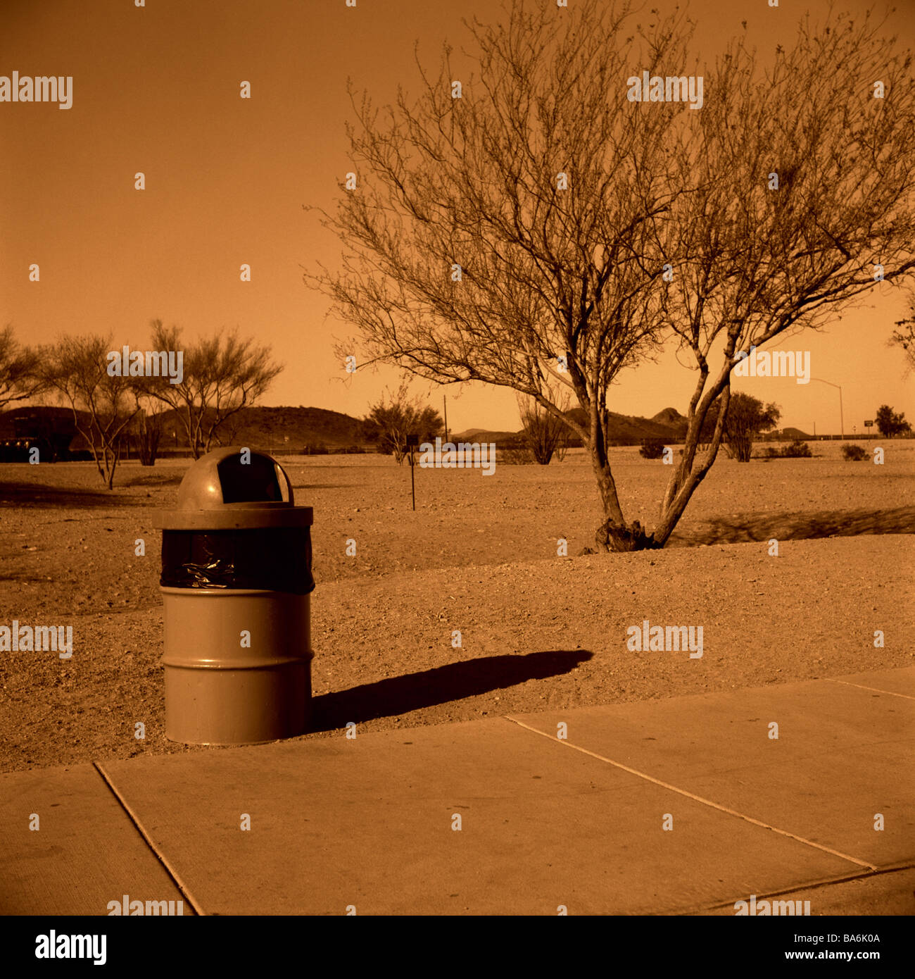 Resting place desolate trash cans shadows landscape shrubs monochrome ...