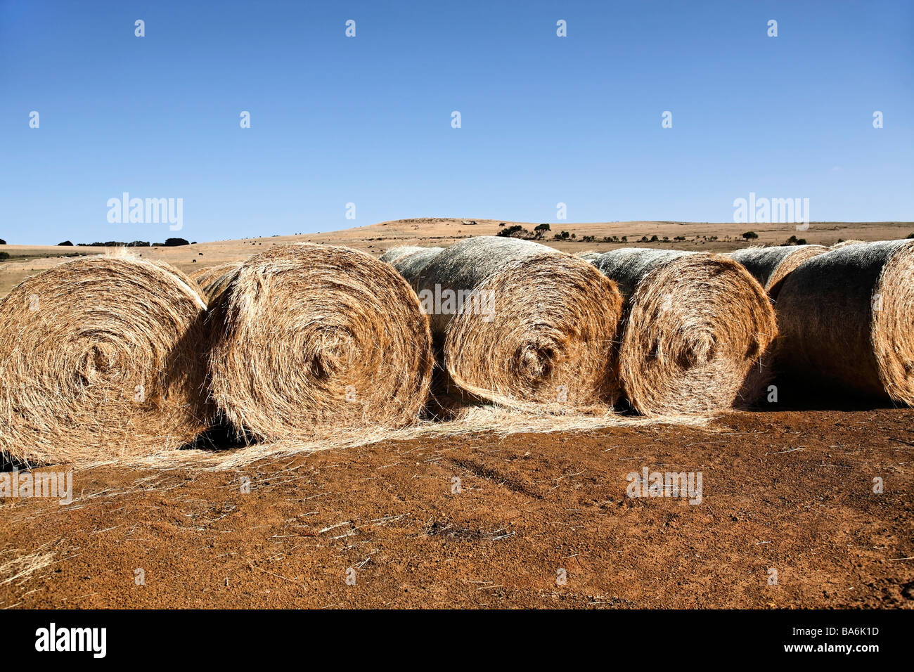 Australia hay hi-res stock photography and images - Alamy