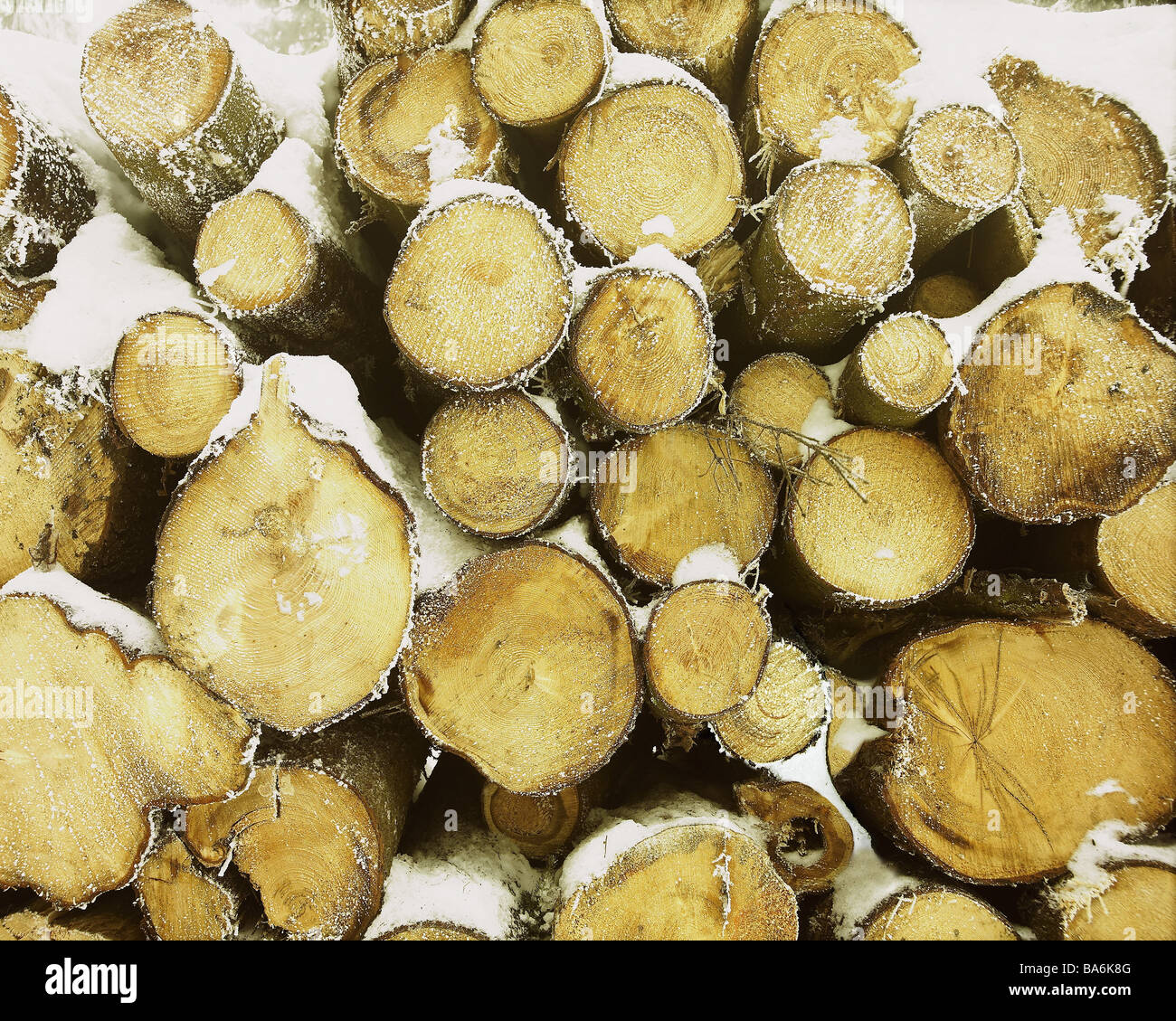 Wood economizes hi-res stock photography and images - Alamy