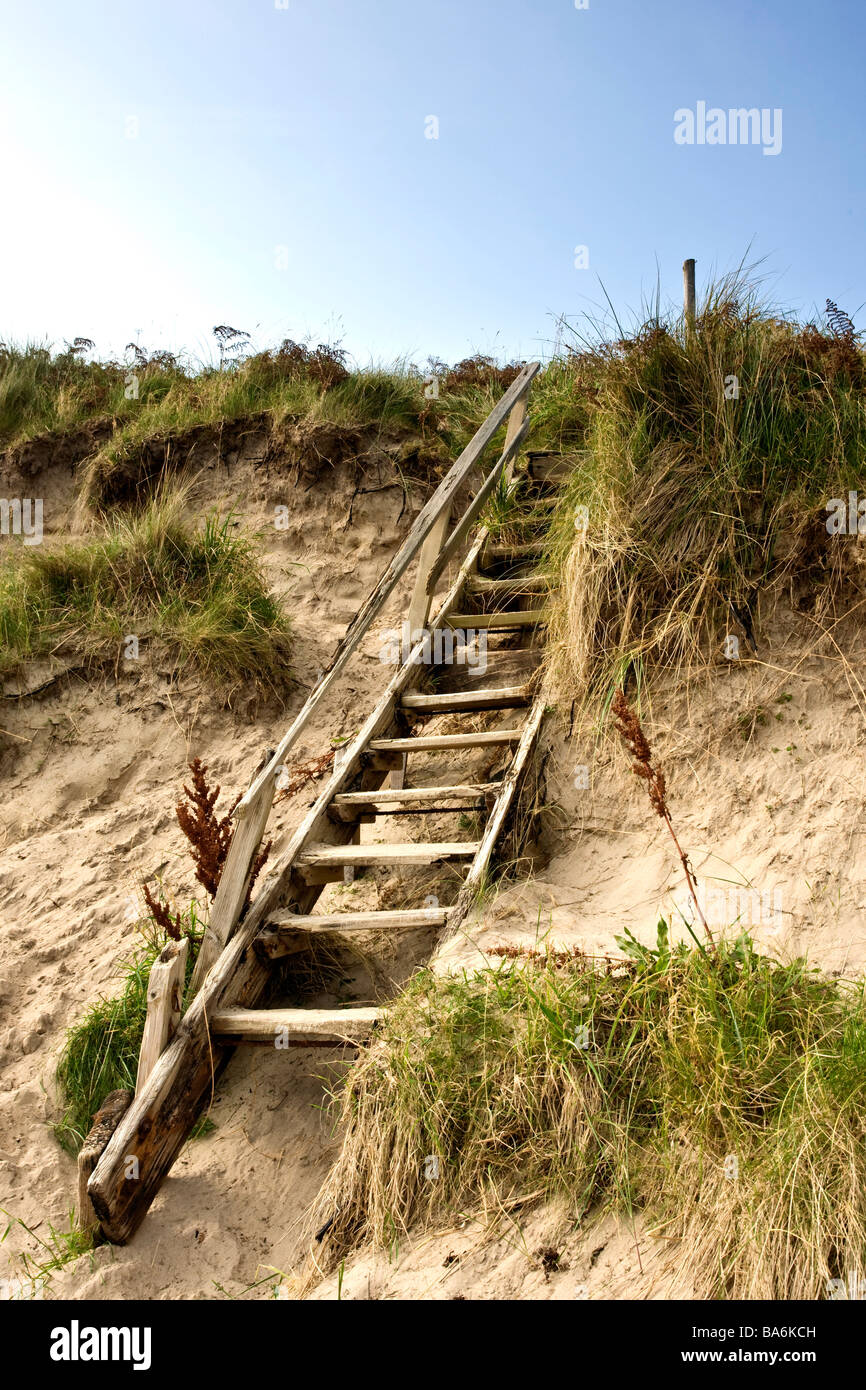 Steps ladders hi-res stock photography and images - Alamy
