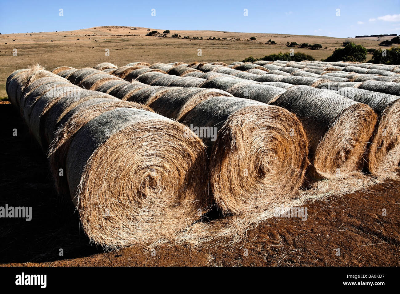Australia hay hi-res stock photography and images - Alamy