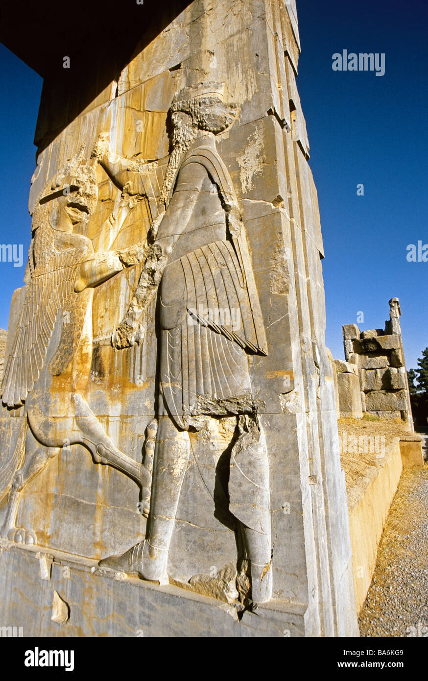 Persepolis's Apadana Palace ruins, detail of column Stock Photo - Alamy