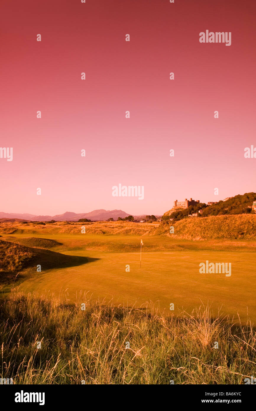 Royal St Davids Golf Club, 15th green, Harlech, Wales, UK Stock Photo ...