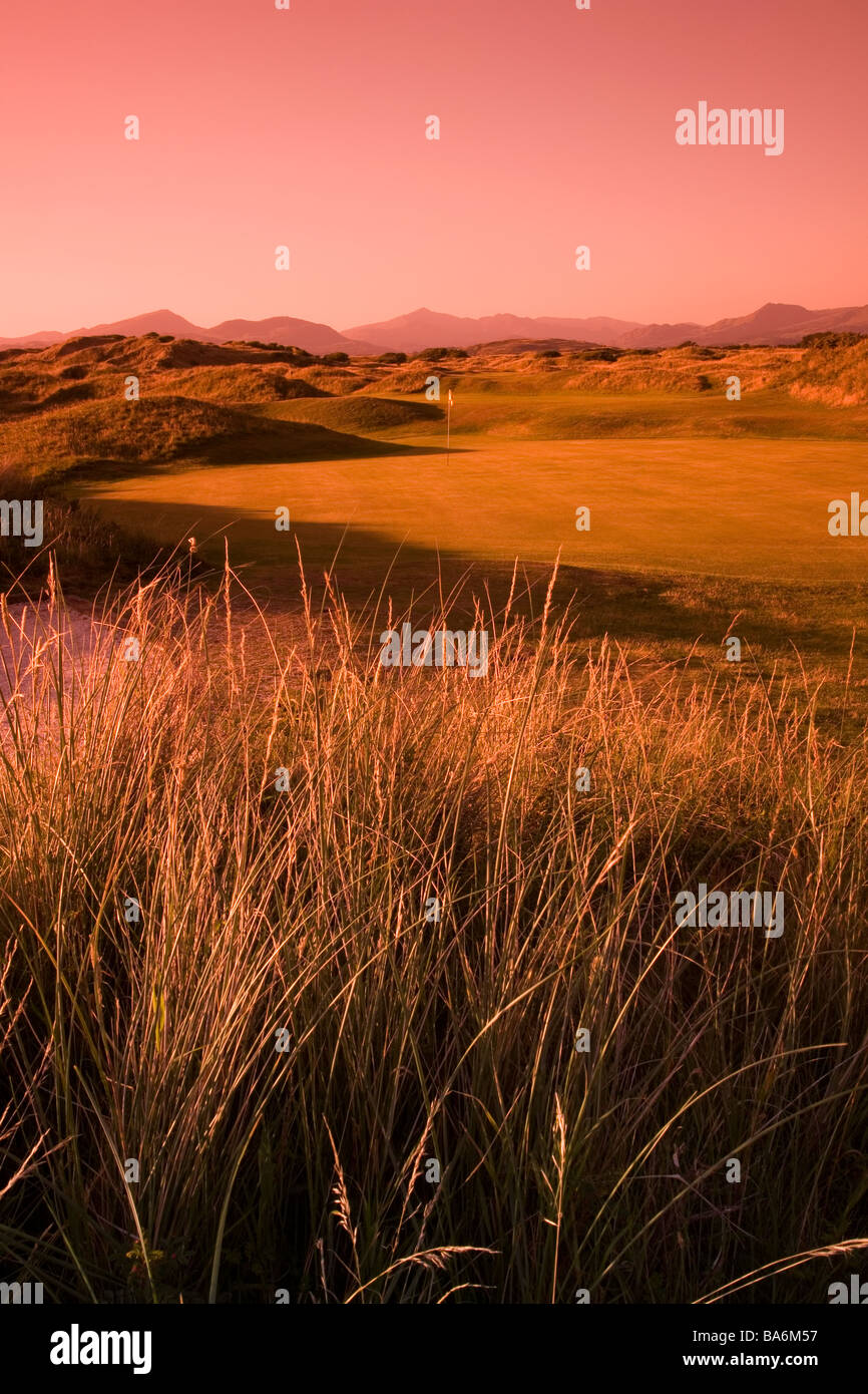 Harlech Golf Course High Resolution Stock Photography and Images - Alamy