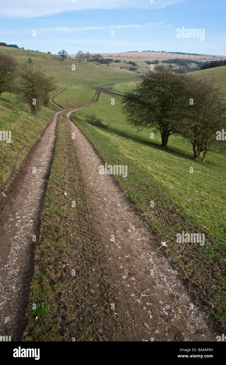 Ditchling Beacon walk in East Sussex off the South Downs way Stock ...