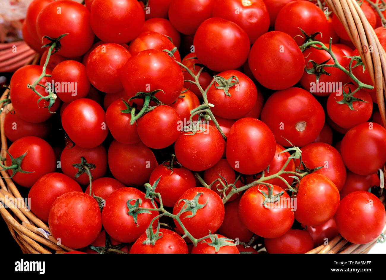 Italy, Tuscany, market stall, cluster of tomatoes Stock Photo - Alamy