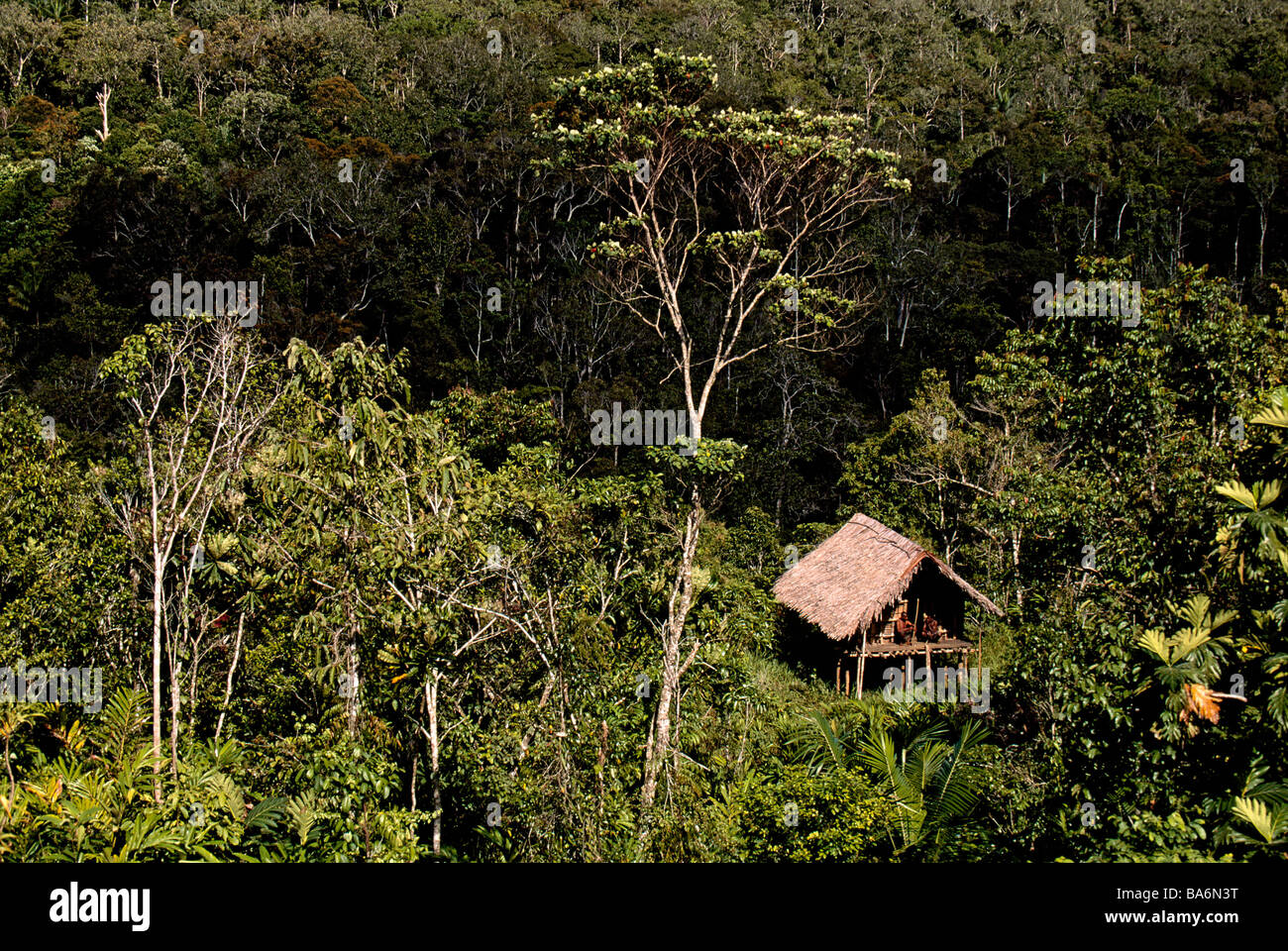 Papua New Guinea, Southern Highlands Province, Bosavi region, Suguniga ...