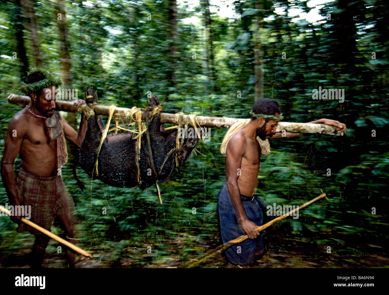 Bosavi Papua New Guinea Stock Photos & Bosavi Papua New Guinea Stock ...