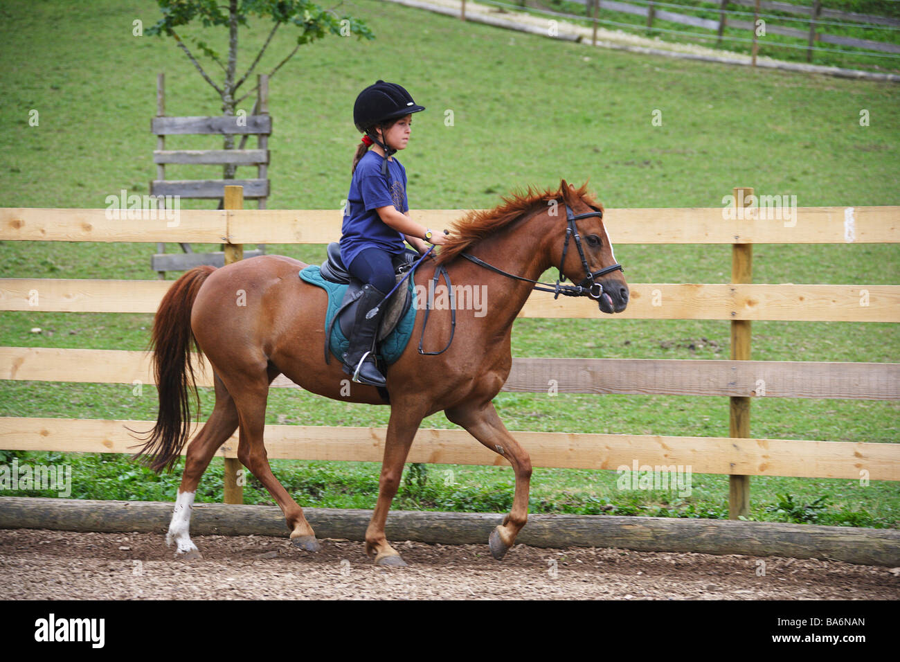 Girl riding on British Riding pony horse Stock Photo - Alamy
