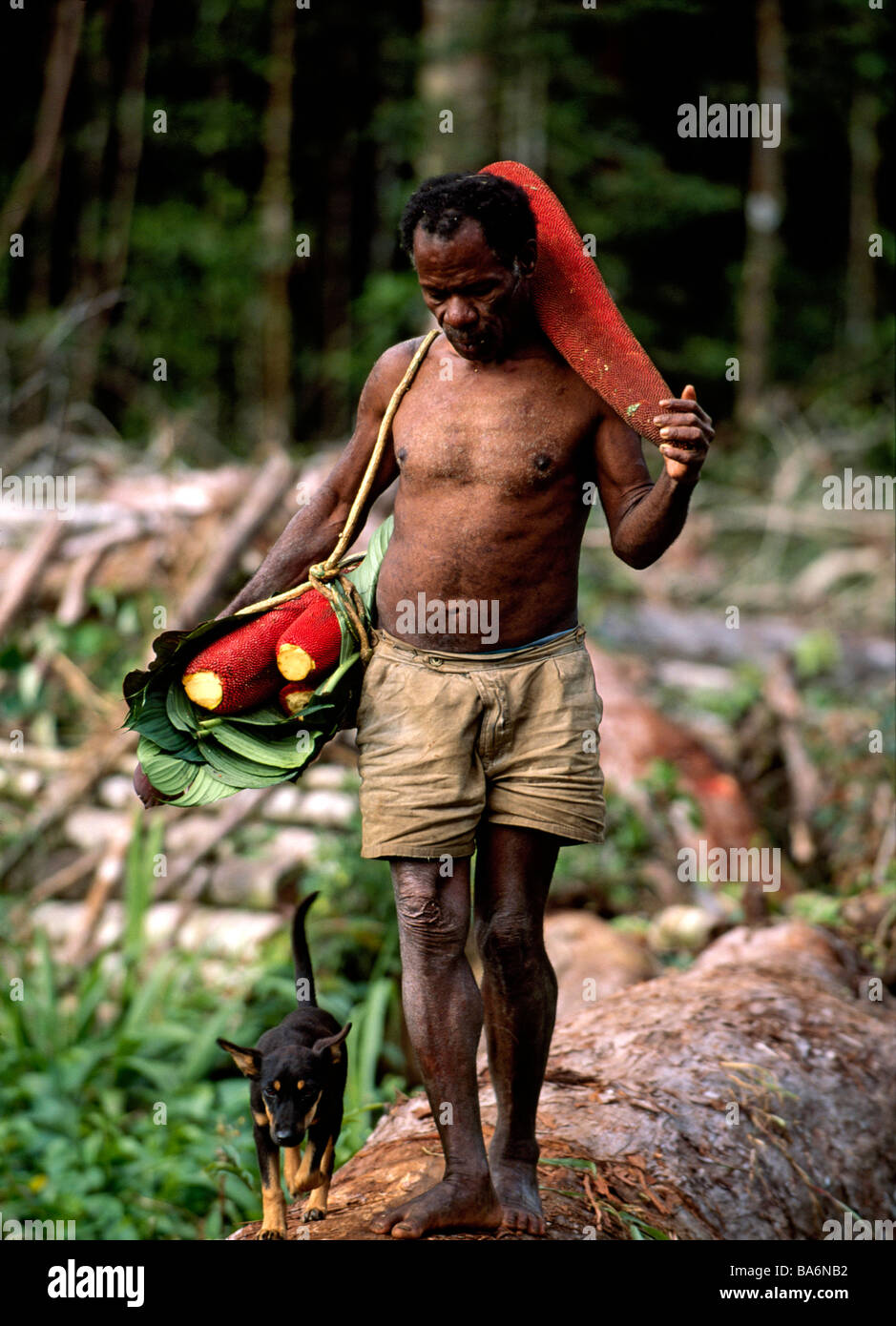 Bosavi Papua New Guinea Stock Photos & Bosavi Papua New Guinea Stock ...
