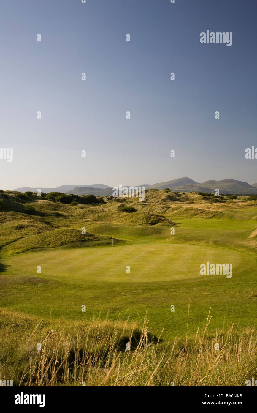 Royal St Davids Golf Club, 15th green, Harlech, Wales, UK Stock Photo ...