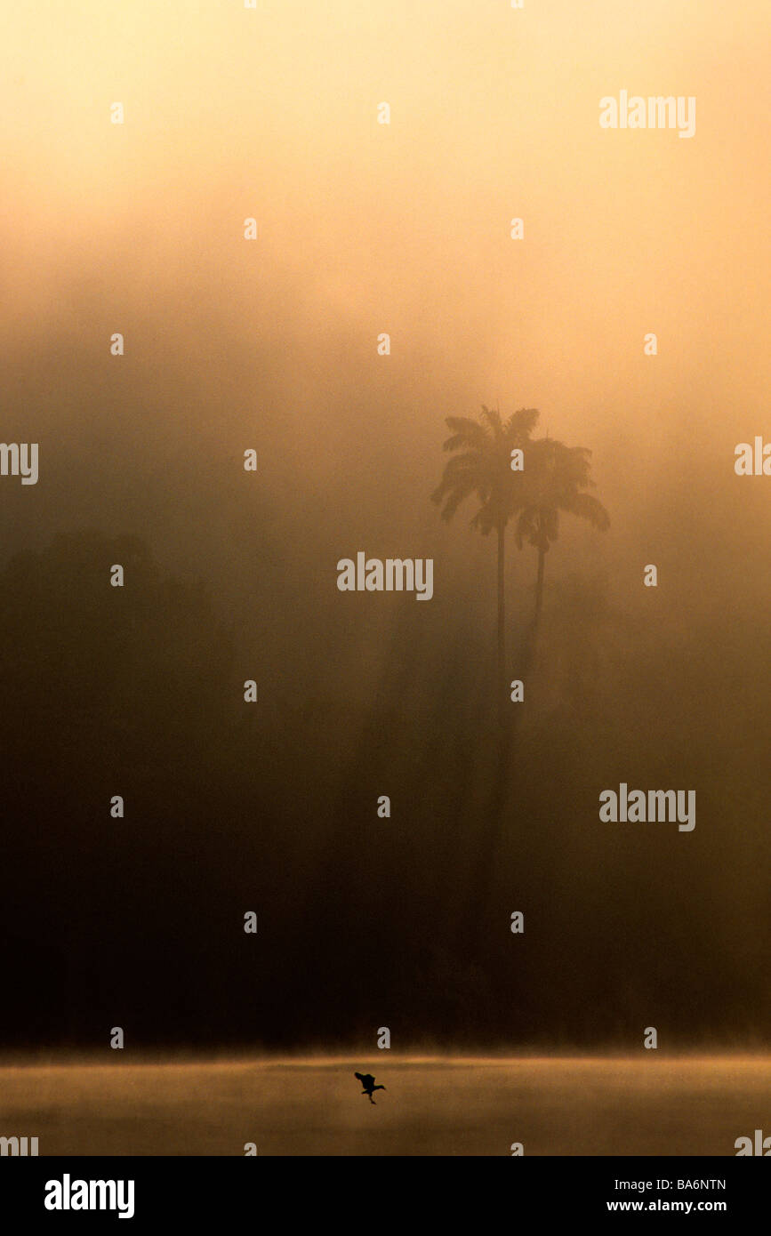 Sri Lanka, Kandy Lake Stock Photo - Alamy