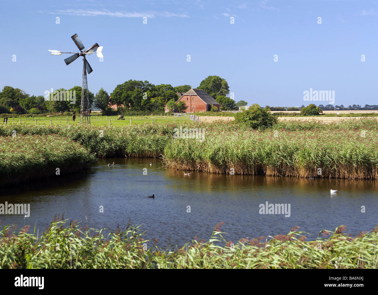 Germany Schleswig-Holstein island Fehmarn landscape Europe Baltic Sea ...