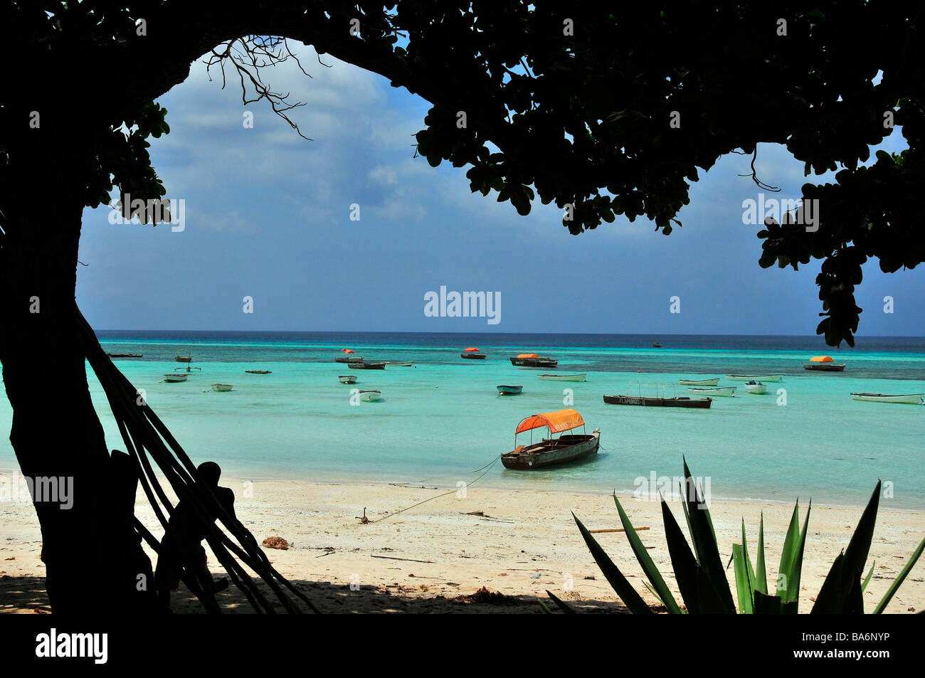 Kimikazi beach hi-res stock photography and images - Alamy