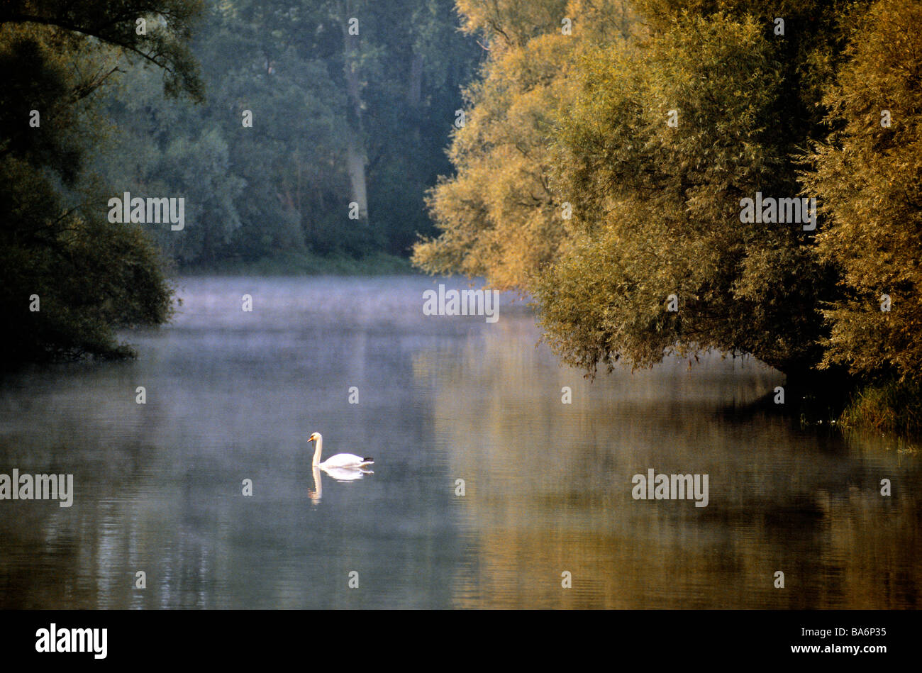 Sauer river hi-res stock photography and images - Alamy