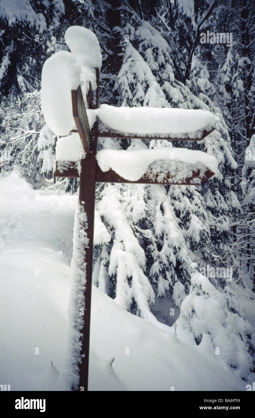 Forest signposts snow-covered sign wood-sign sign information arrows ...
