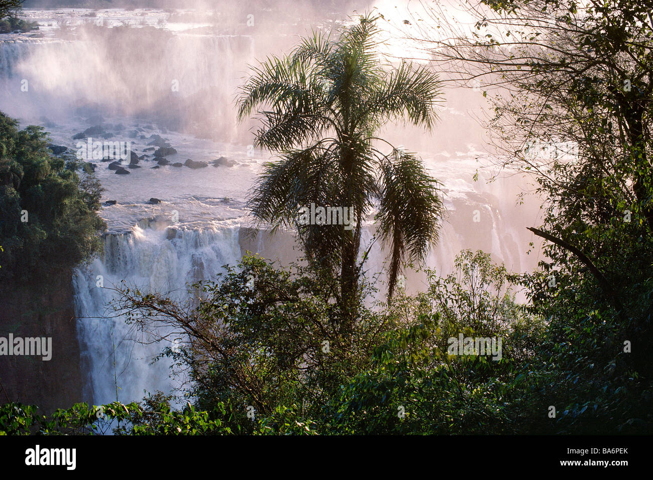 Argentina, Misiones Province, Iguazu National Park classified as World ...