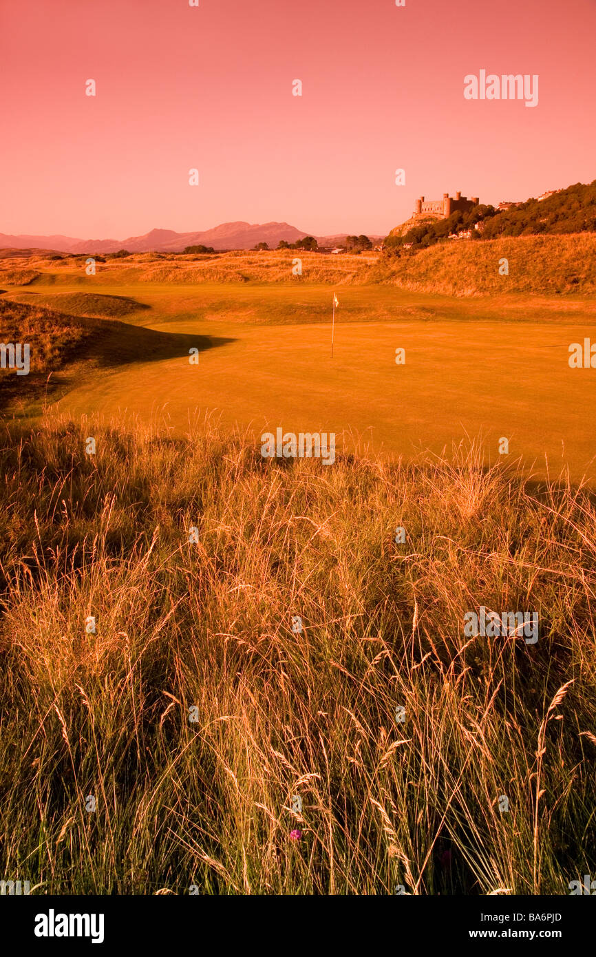 Royal St Davids Golf Club, 15th green, Harlech, Wales, UK Stock Photo ...