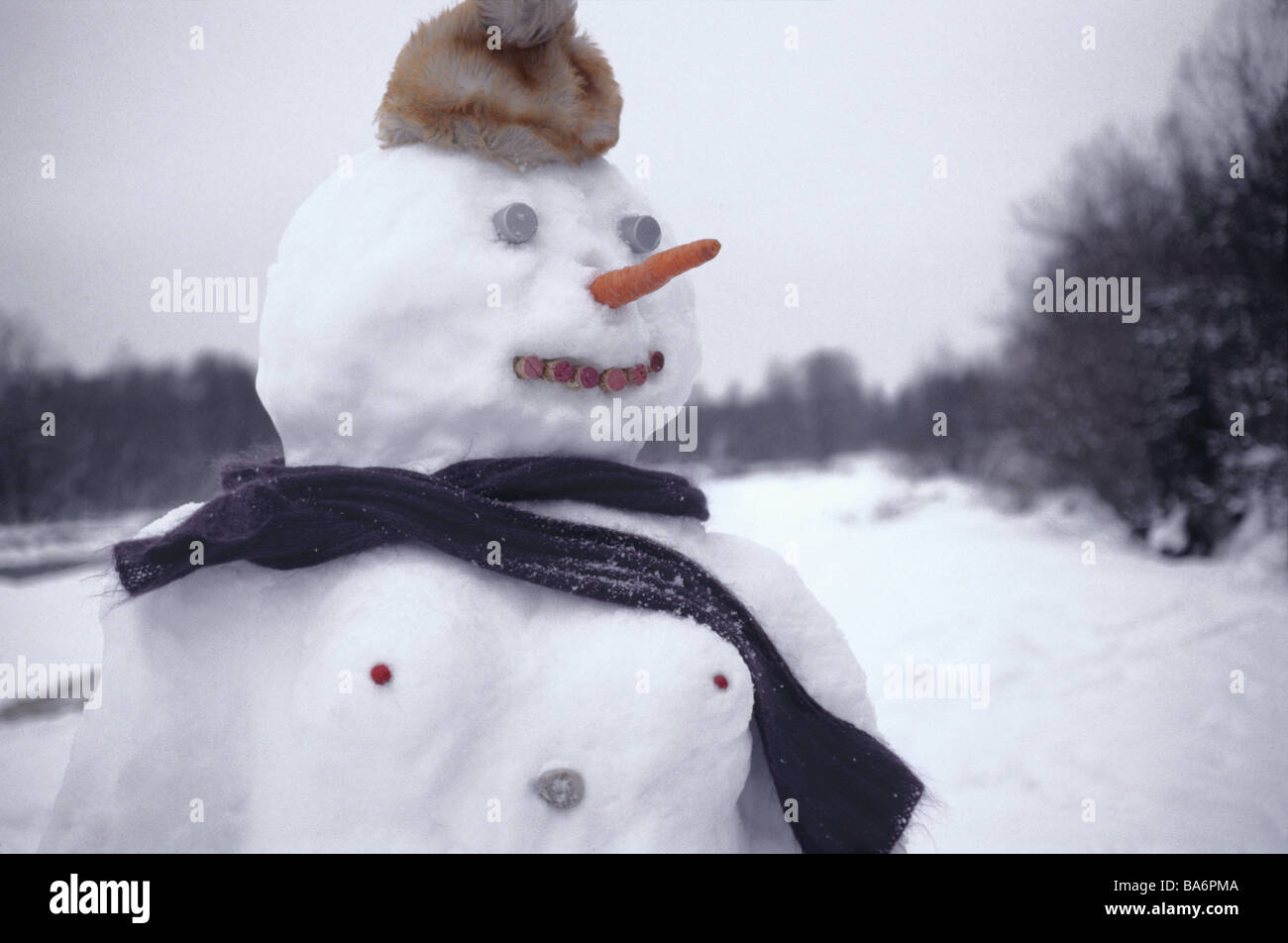 Snowman detail winters snow-figure cap scarf face carrot childhood cold ...