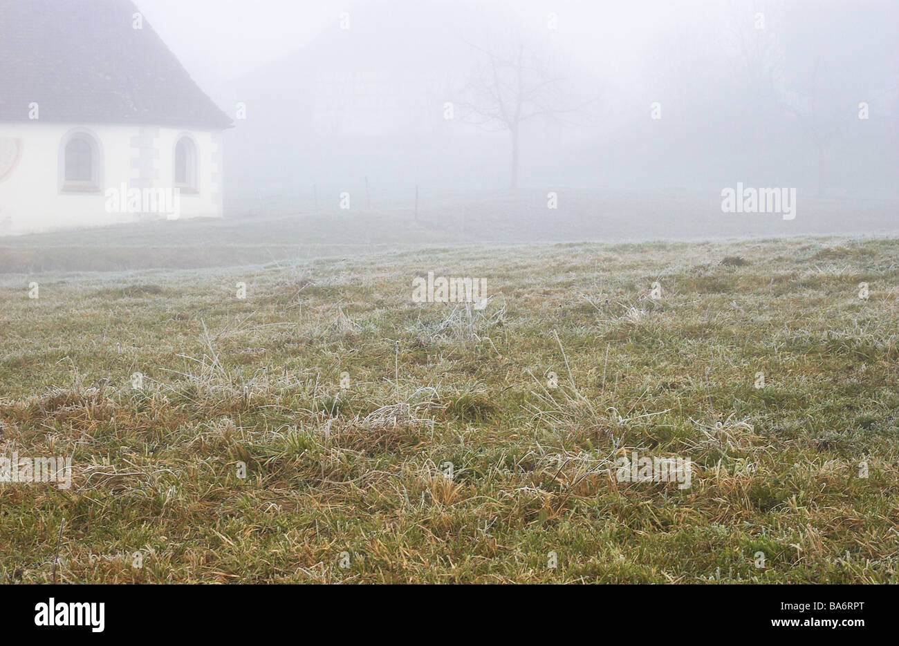 Meadow frost chapel detail fog diffuse grass grass dries up unclearly ...