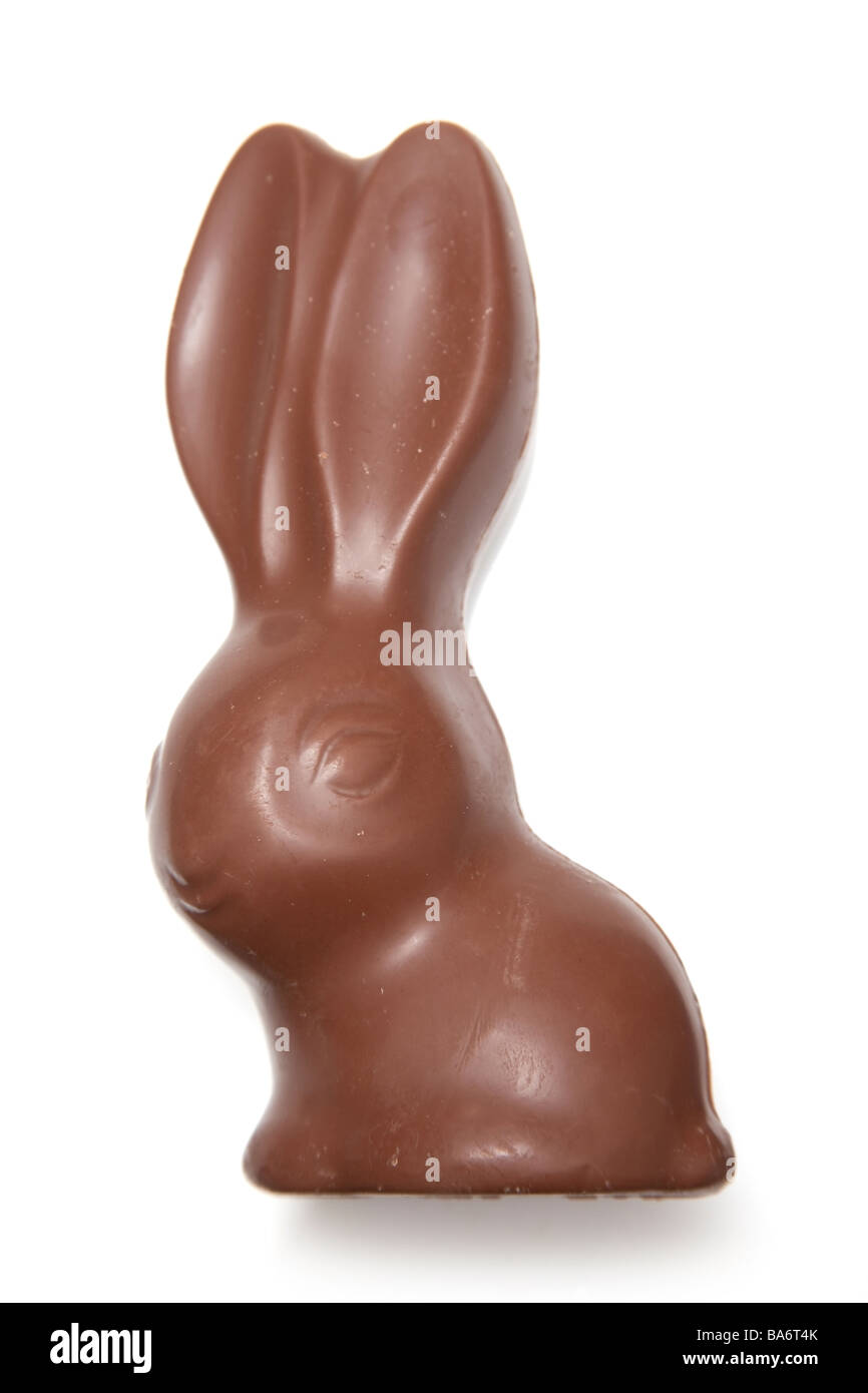 Chocolate easter bunny or Rabbit isolated on a white studio background ...