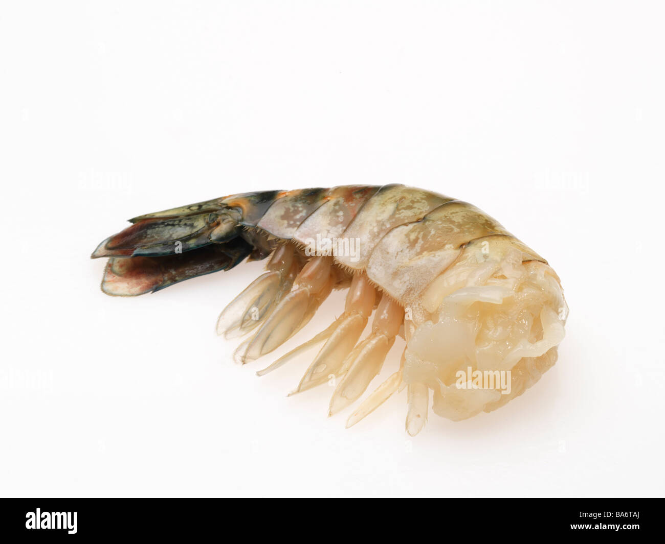 King prawn hi-res stock photography and images - Alamy