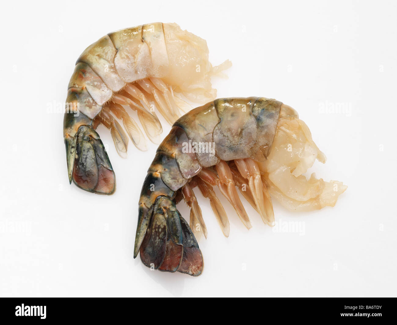 Giant prawn hi-res stock photography and images - Alamy