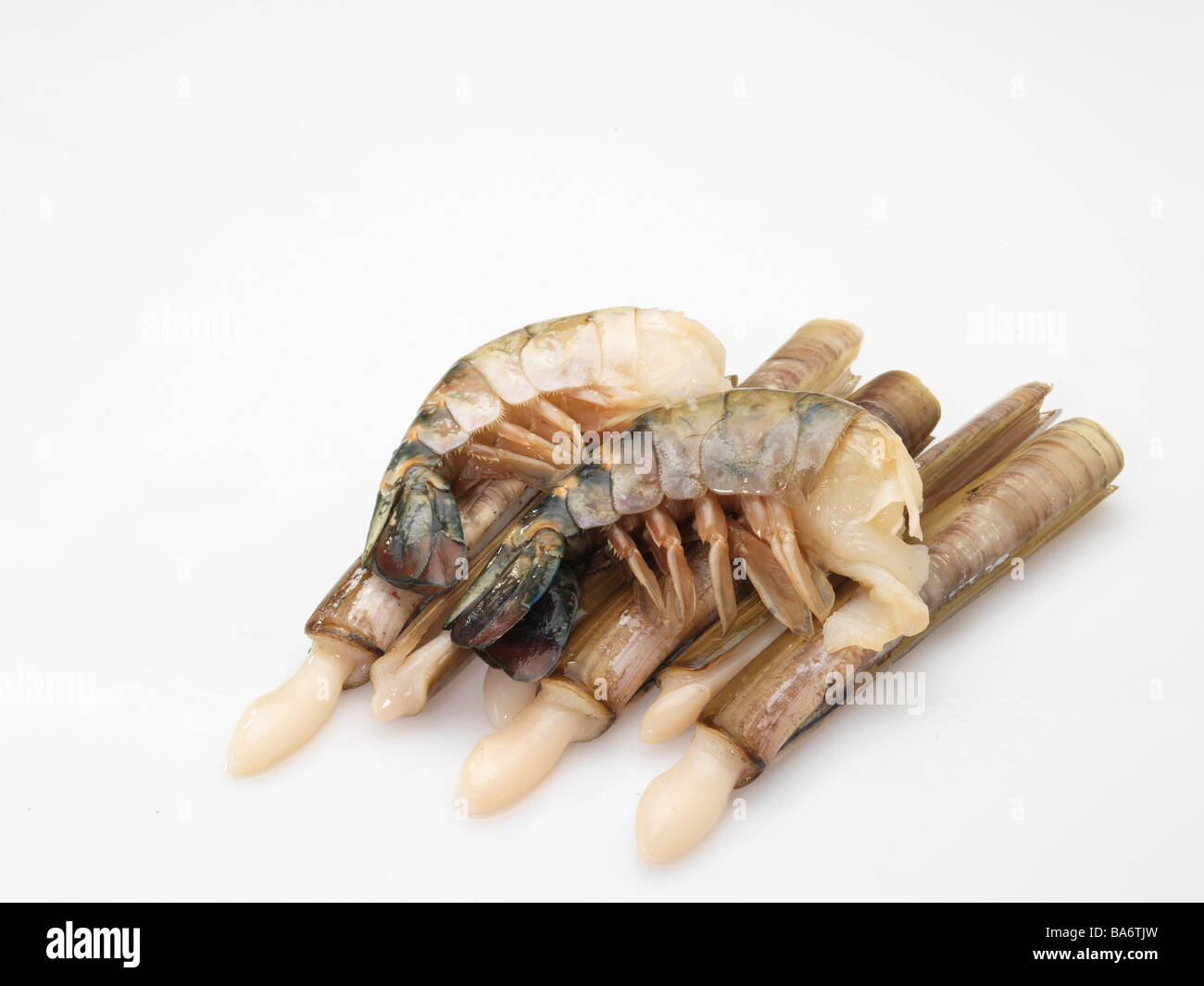 King Prawns & Razor Clams Stock Photo - Alamy