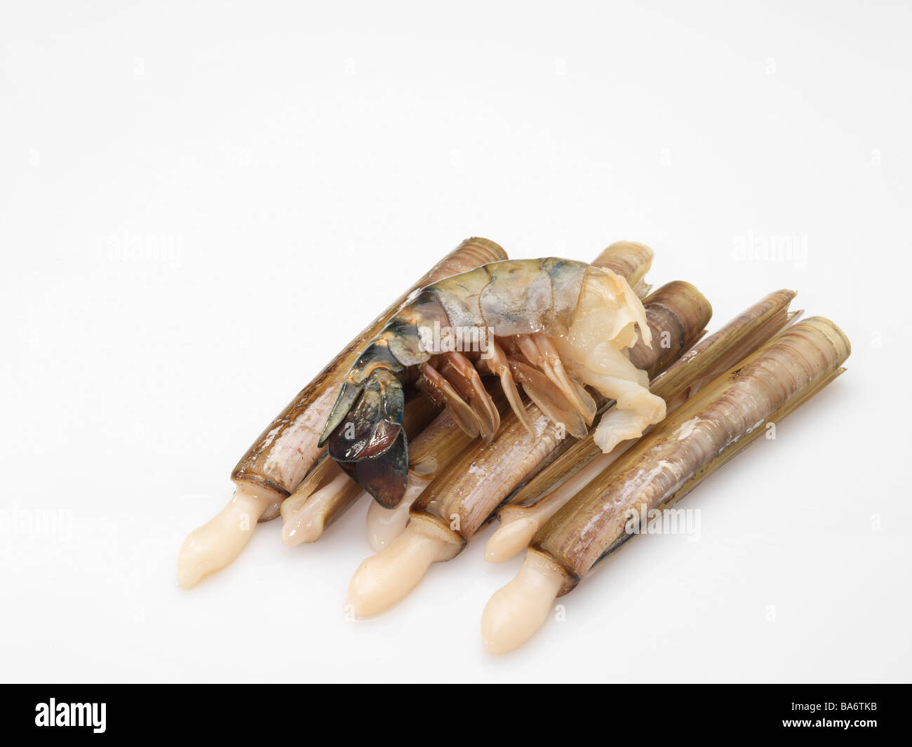 King Prawns & Razor Clams Stock Photo - Alamy