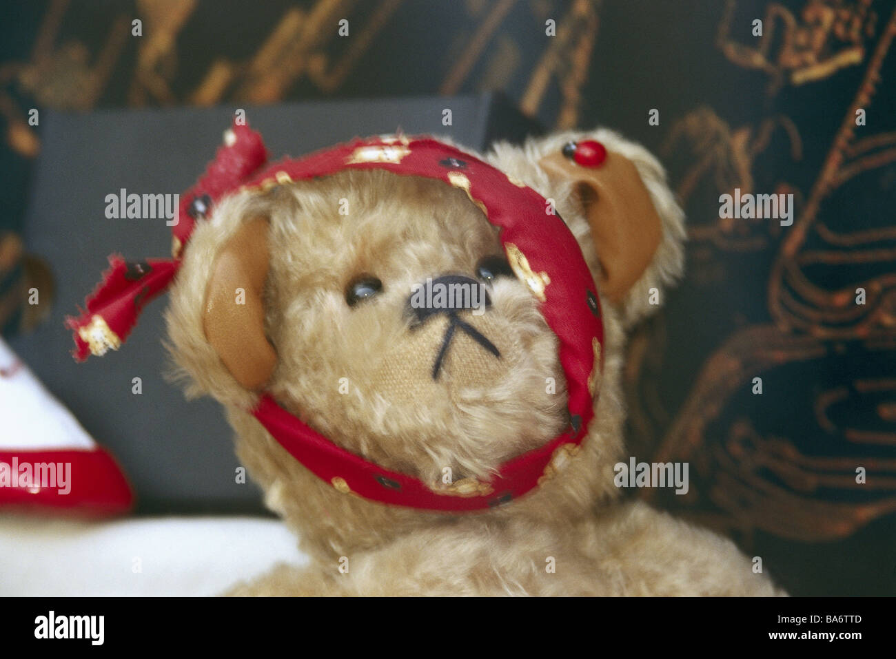 Teddy head cloth bound portrait fuzziness toy toy plush-animal material ...