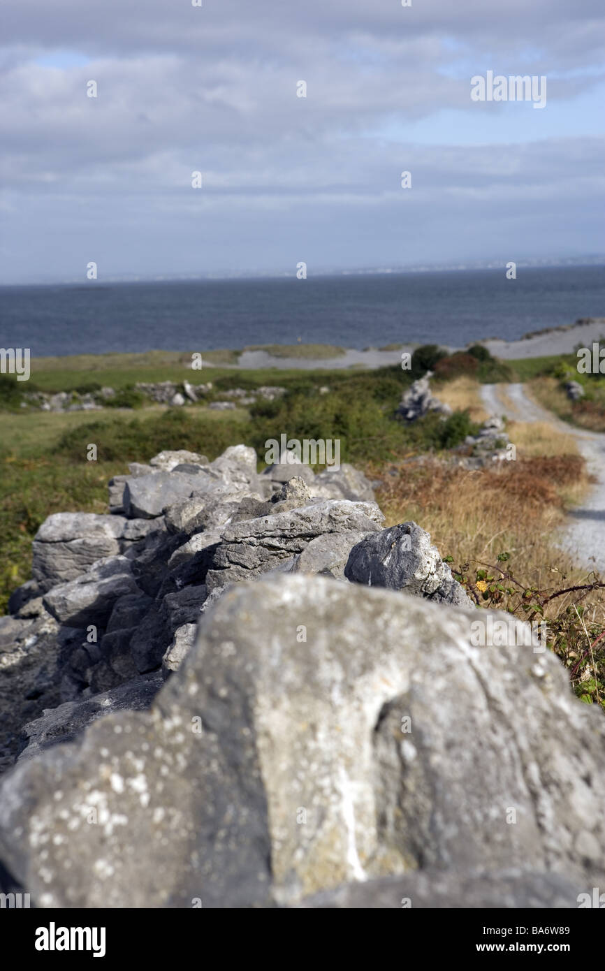 Ireland province Munster county Clare The Burren Karstlandschaft rocks ...