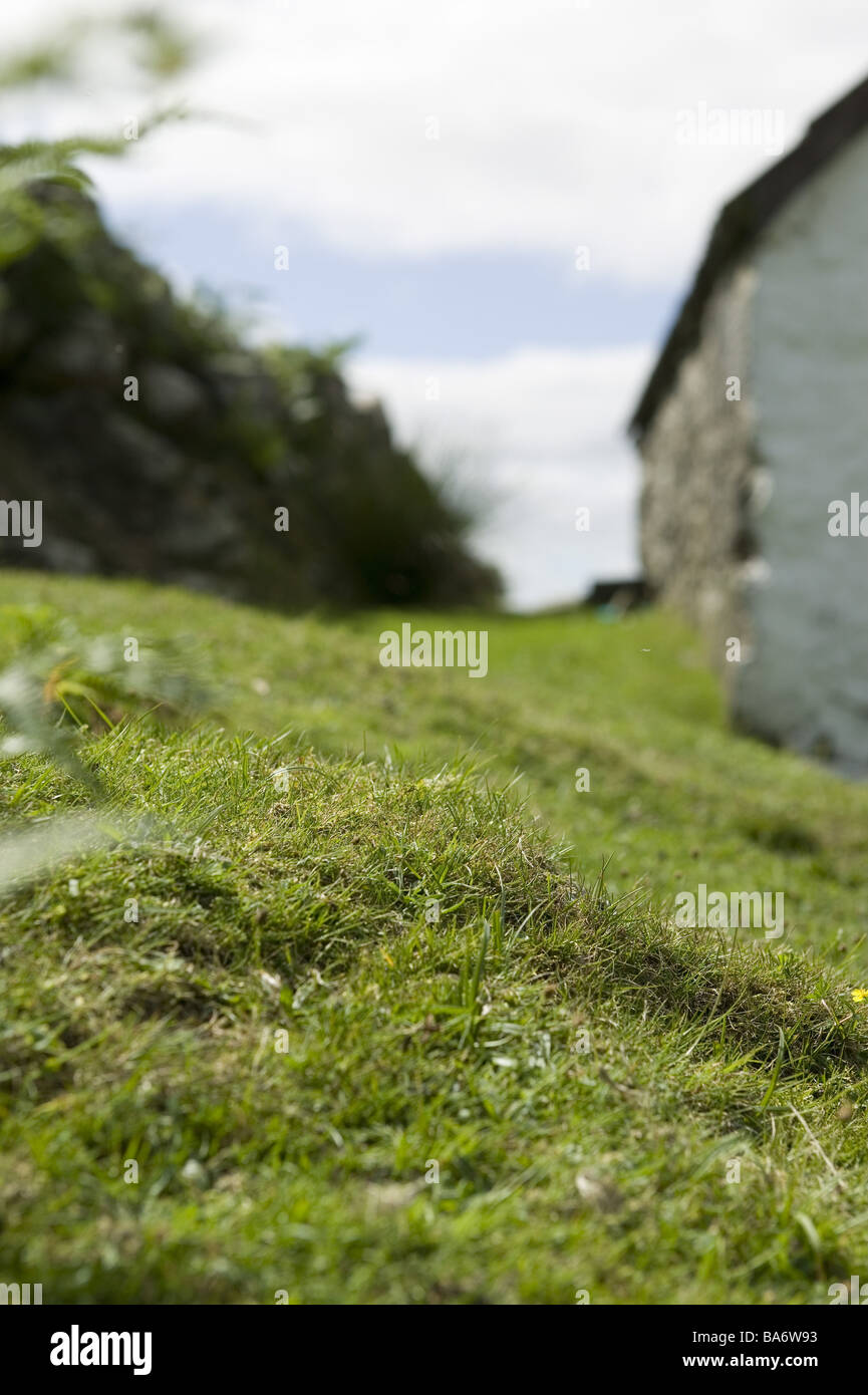 Ireland region Conamara meadow background house stone-wall Europe ...
