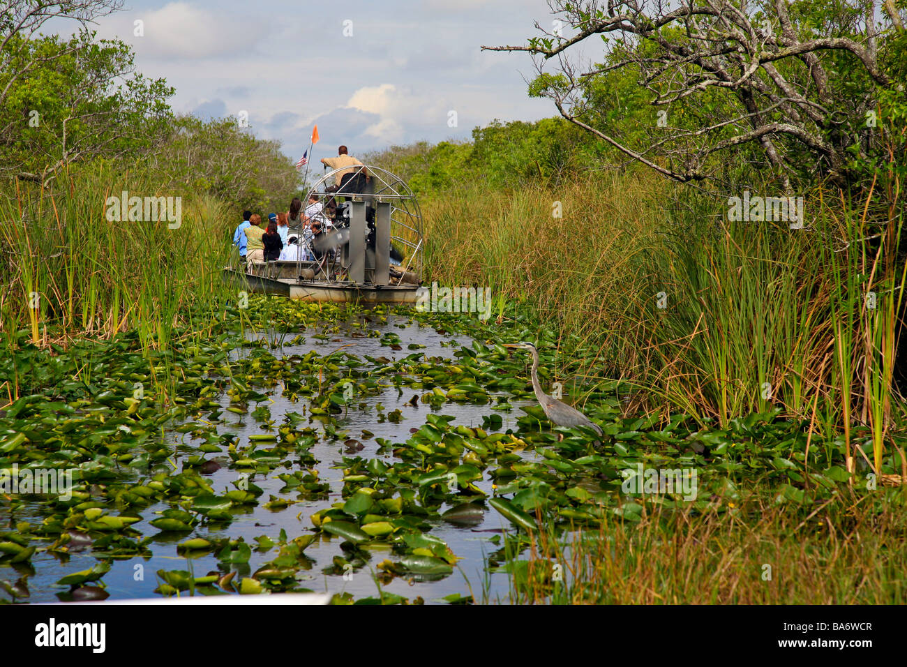 Everglades airboat hi-res stock photography and images - Alamy