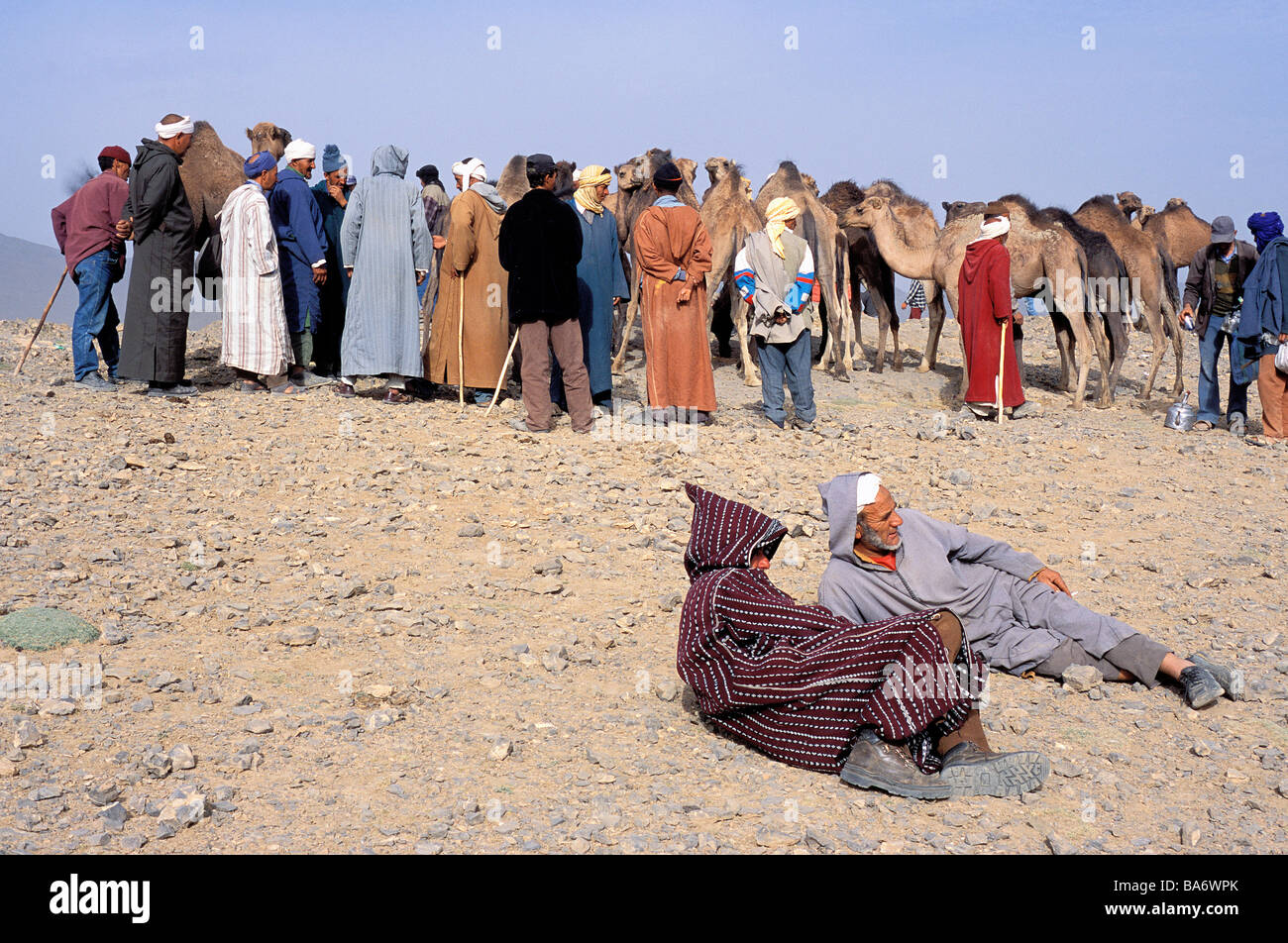 Imilchil wedding festival hi-res stock photography and images - Alamy