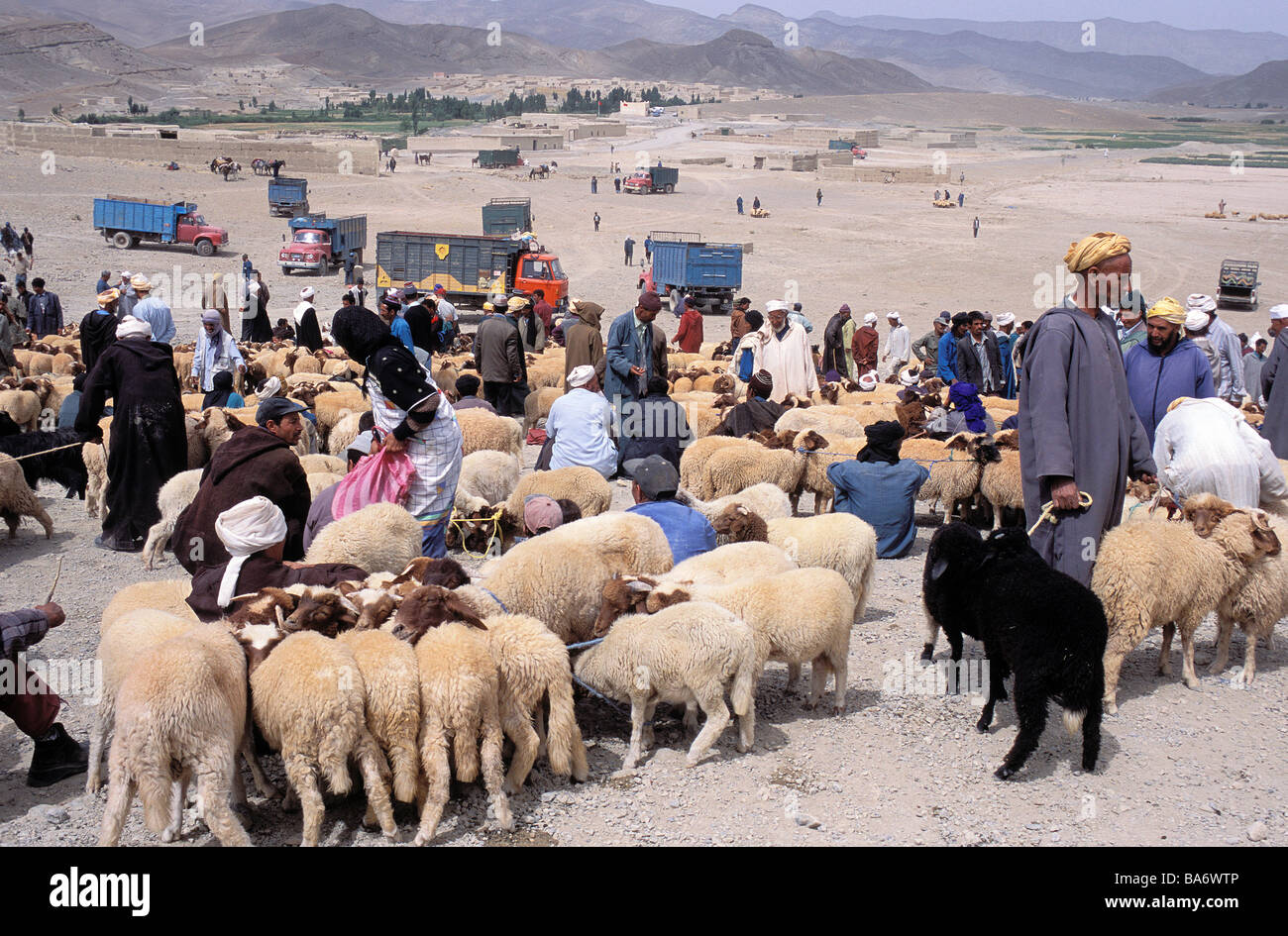 Imilchil festival hi-res stock photography and images - Alamy