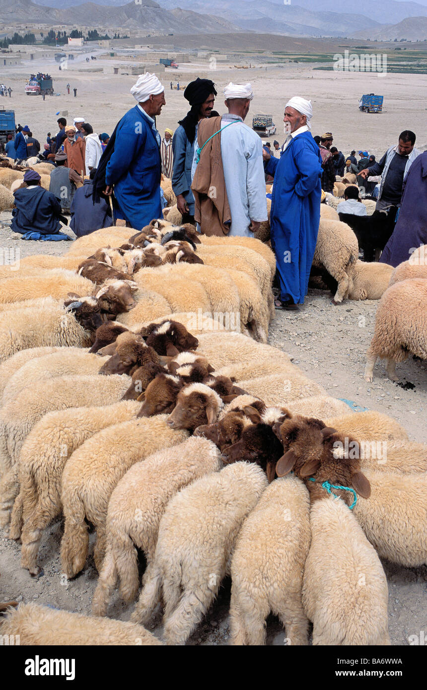 Imilchil wedding festival hi-res stock photography and images - Alamy