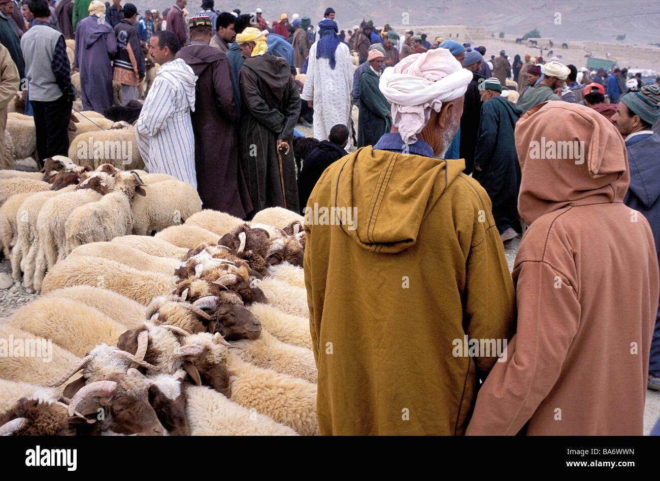 Imilchil festival hi-res stock photography and images - Alamy