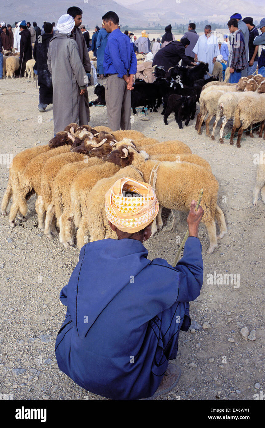 Imilchil festival hi-res stock photography and images - Alamy