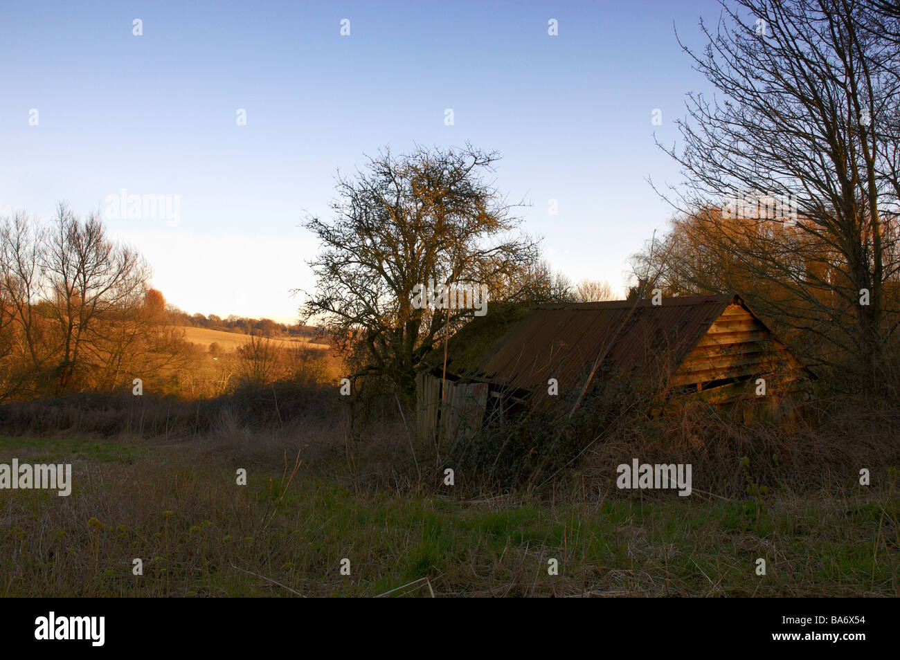 An old run down barn in the English countryside Stock Photo - Alamy