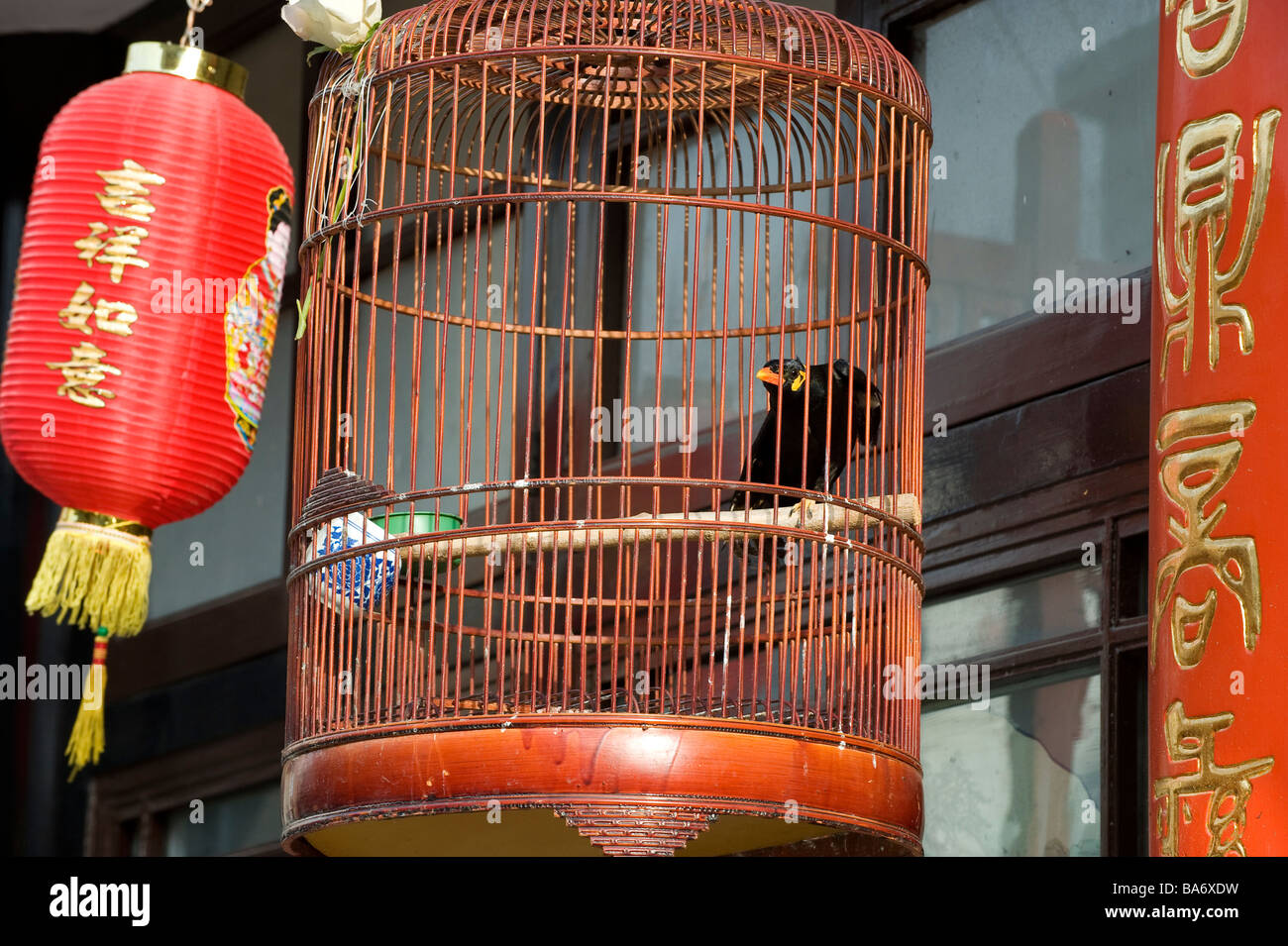 Beijing bird cage hi-res stock photography and images - Alamy