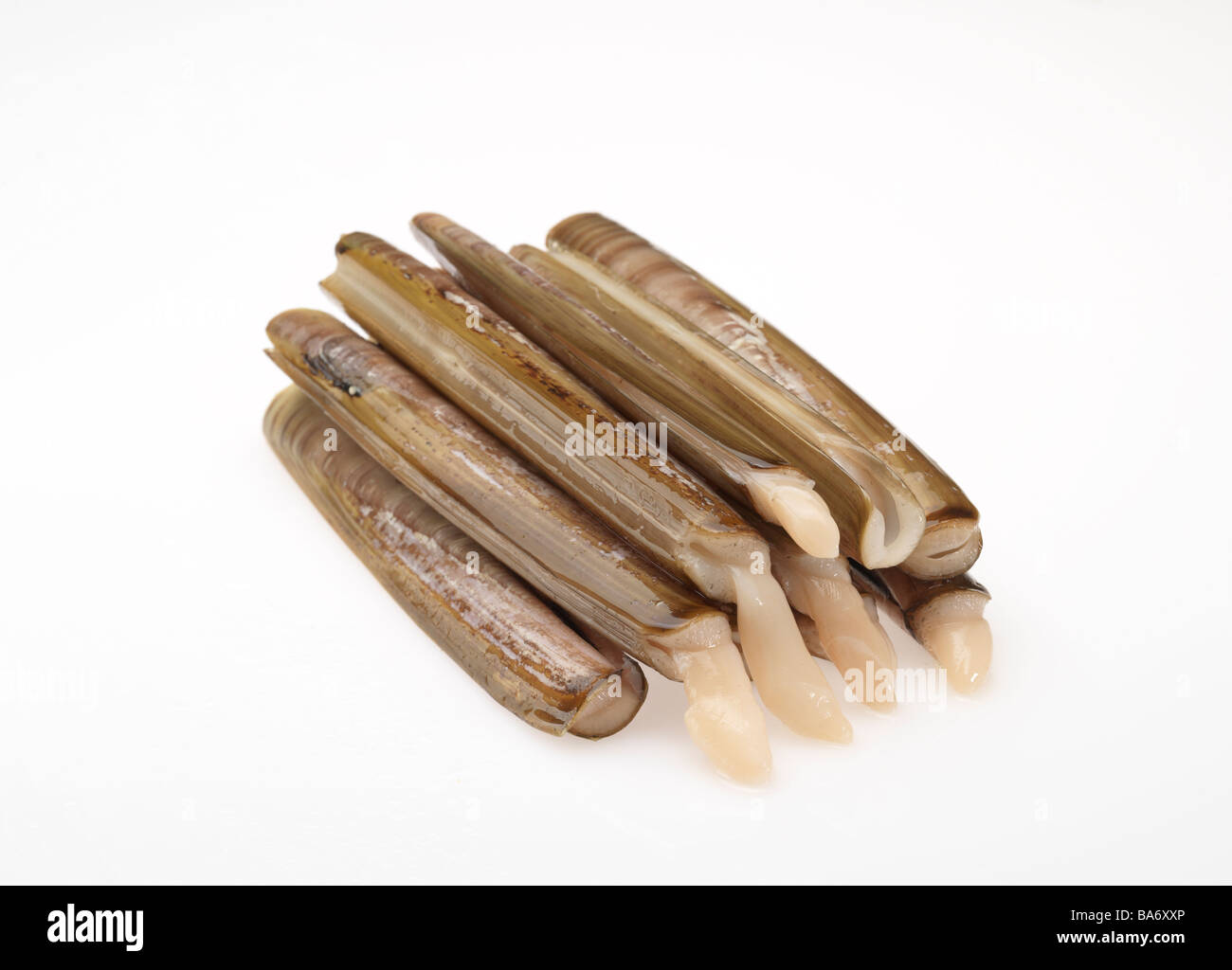 Razor clams hi-res stock photography and images - Alamy