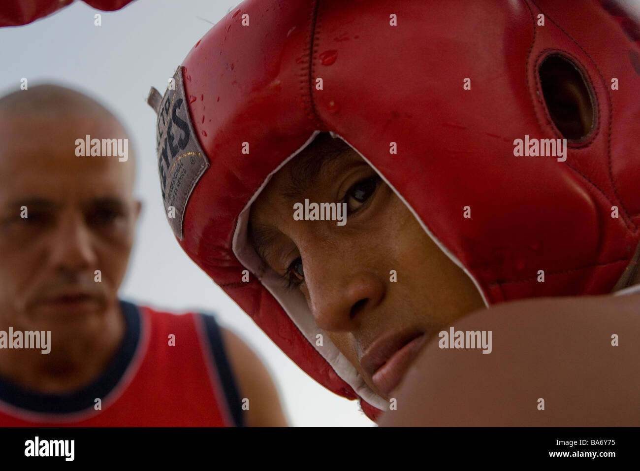 Boxers in a public exhibition in Cancun Mexico Stock Photo - Alamy