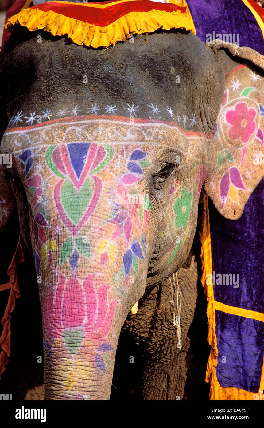 India, Rajasthan State, Jaipur, Amber Fort, painted elephant Stock ...