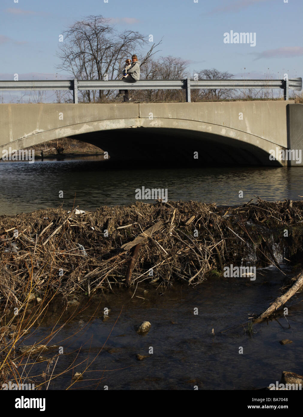 Beaver dam bridge hi-res stock photography and images - Alamy