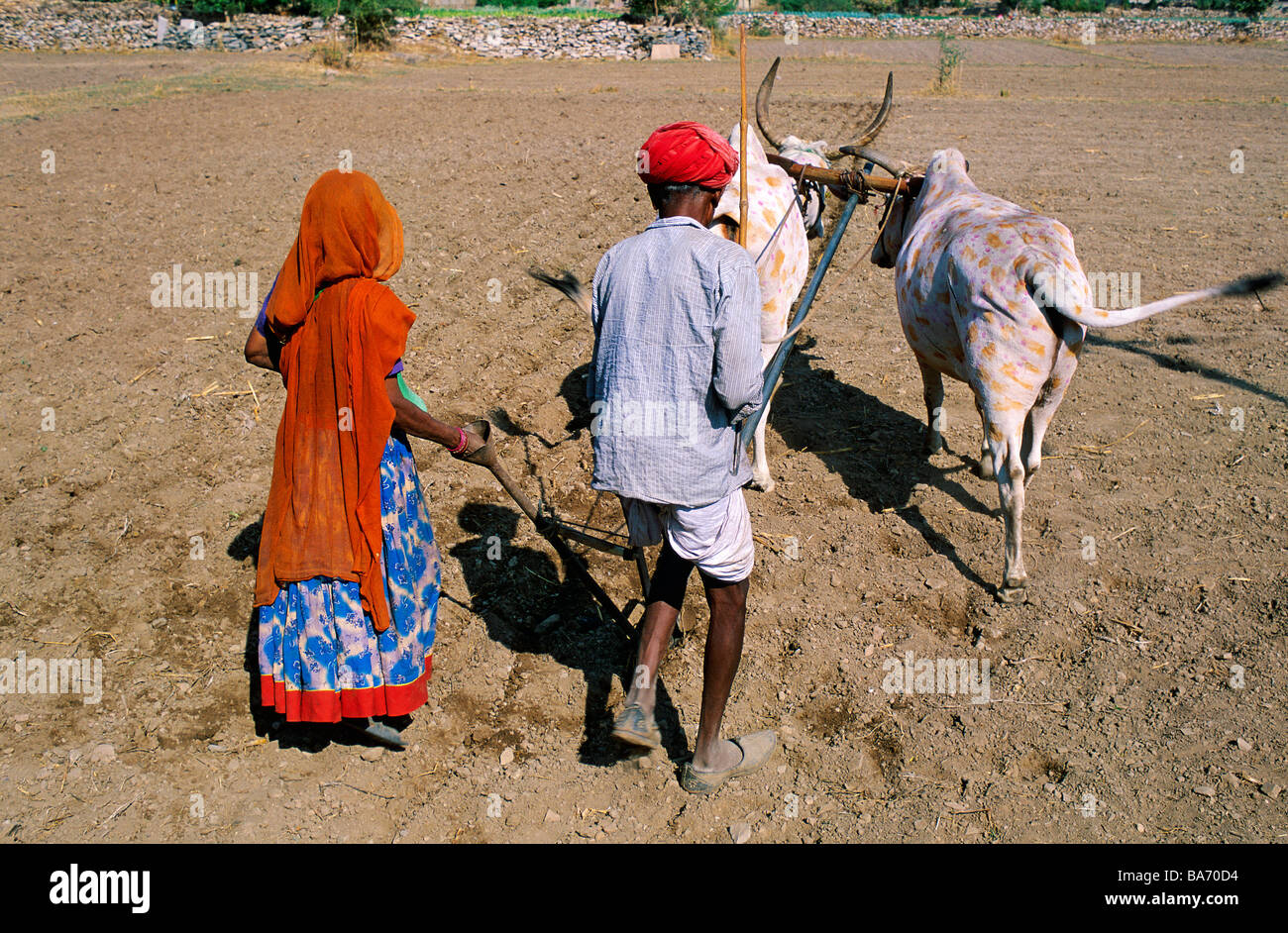 India, Rajasthan State, Bijolia area, peasant Stock Photo - Alamy