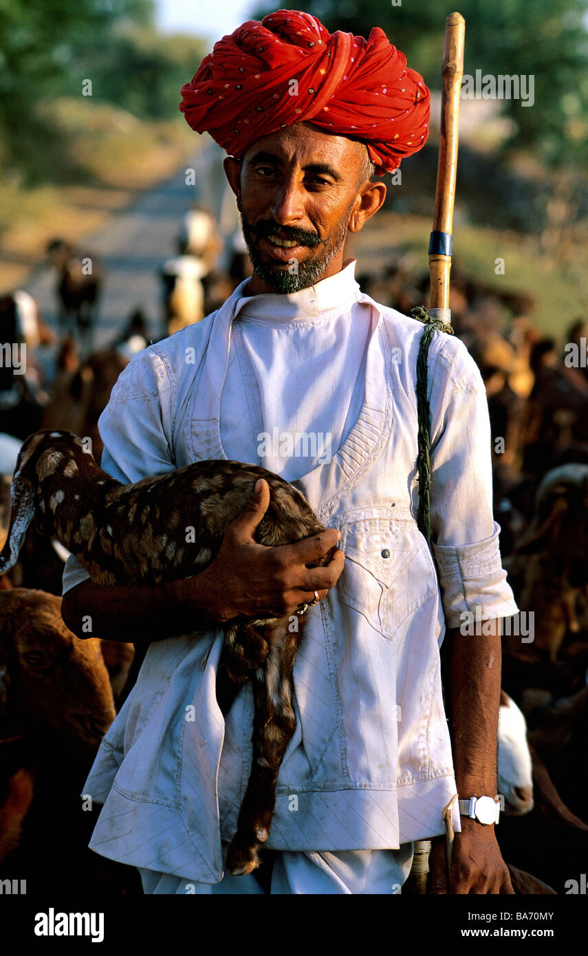 Sheperds with their flock hi-res stock photography and images - Alamy