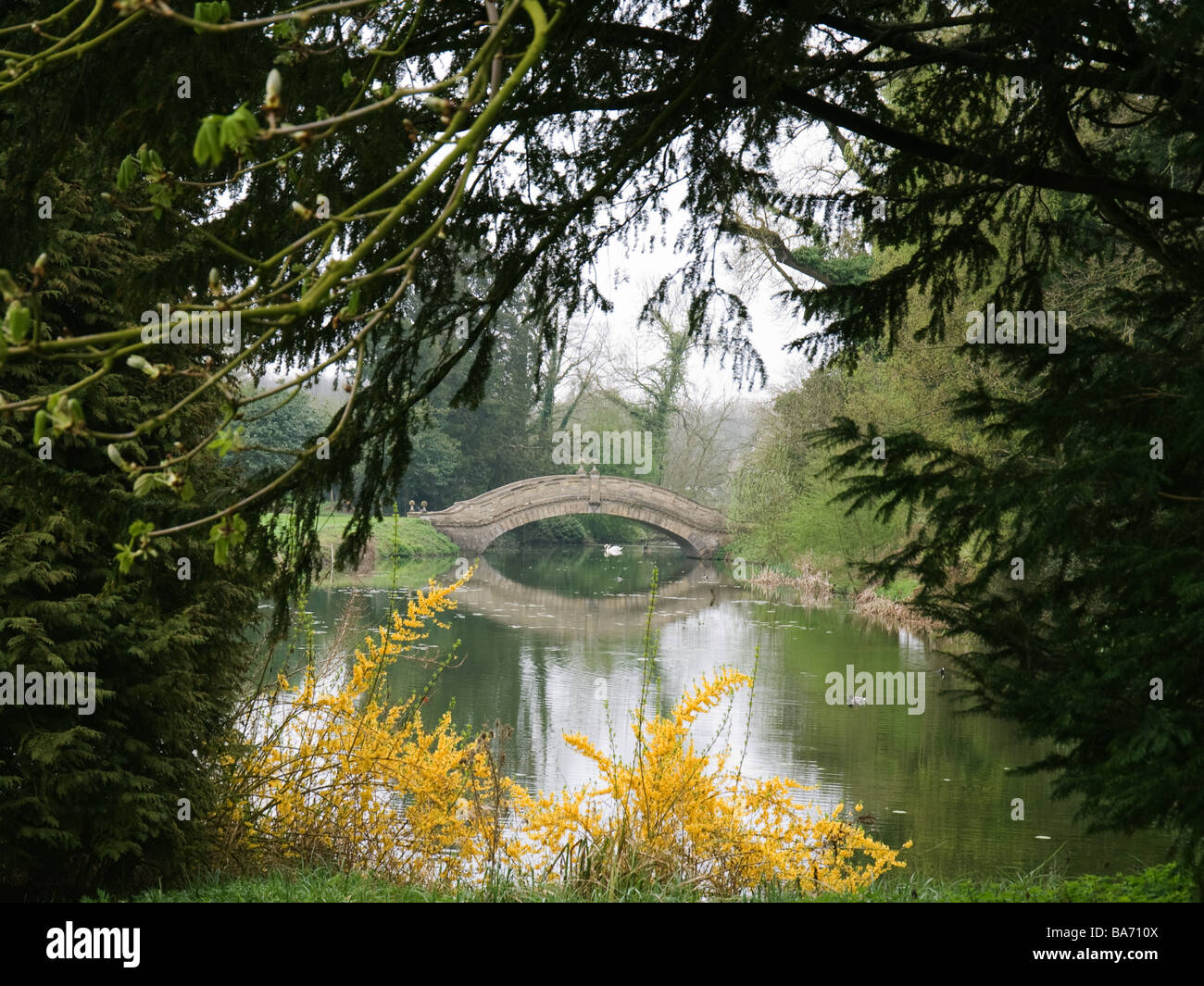 Bridge through Tree's Stock Photo - Alamy