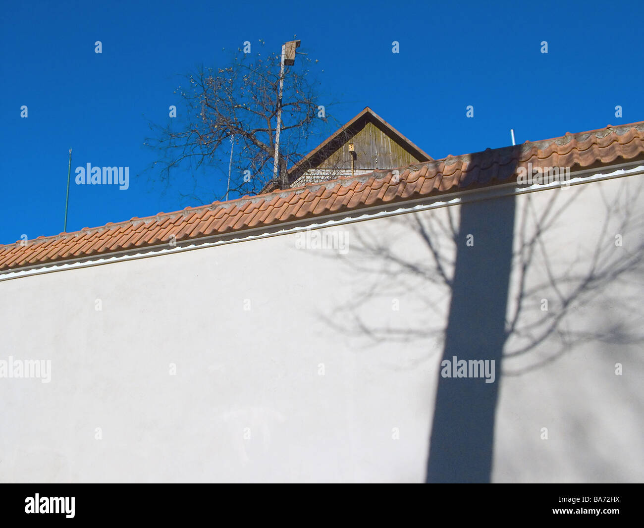 House detail gables wall shadows tree wall garden-wall demarcation ...