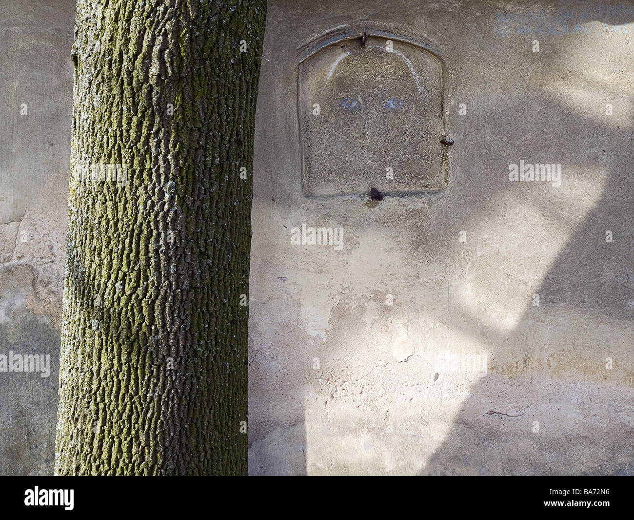Tree like forms hi-res stock photography and images - Alamy