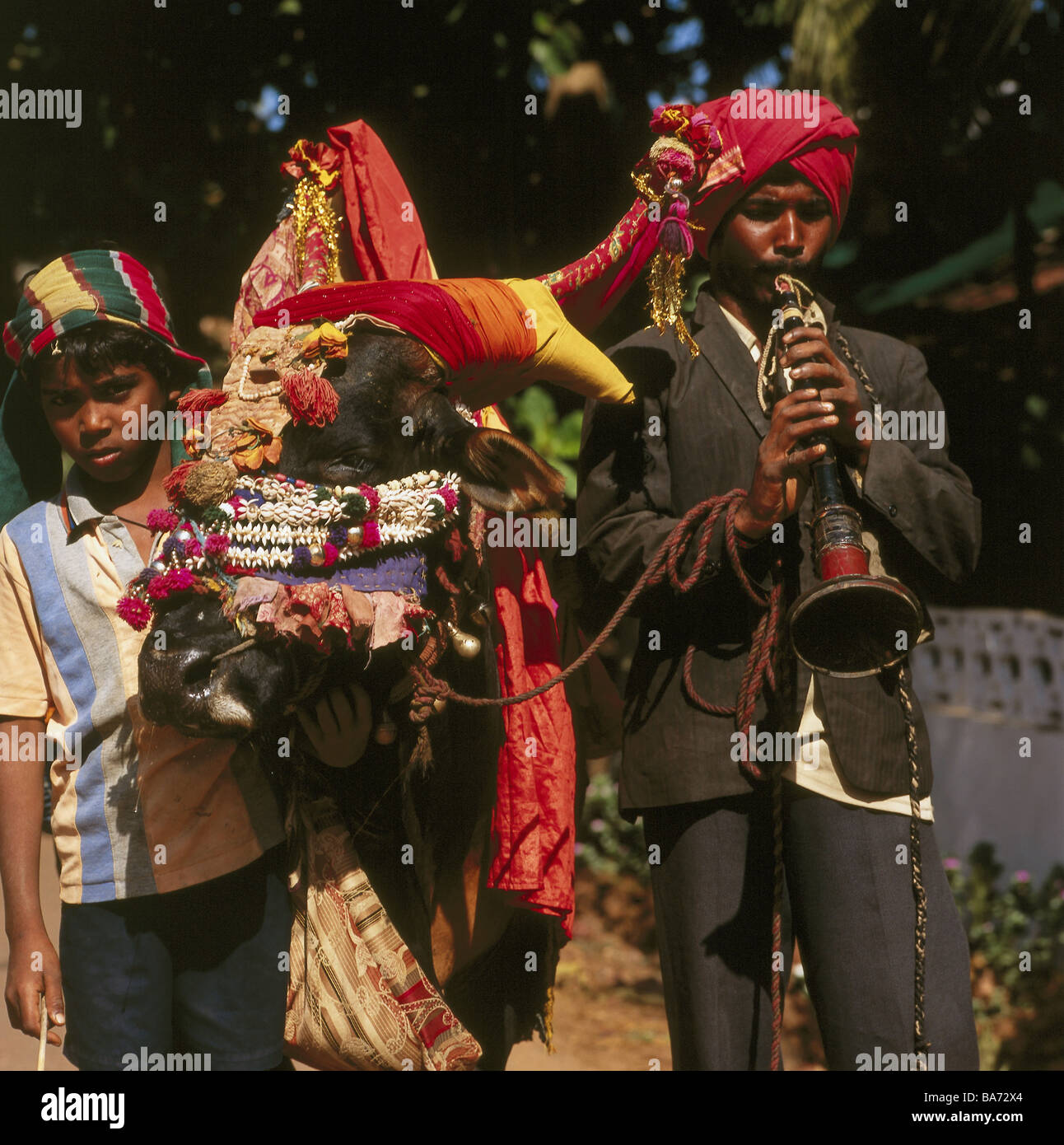 India Goa Calangute Indians music-instrument cow detail decorated no ...
